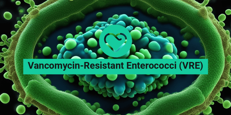 Vancomycin-Resistant Enterococci (VRE): Causes, Symptoms, and Treatment Options • Yesil Health