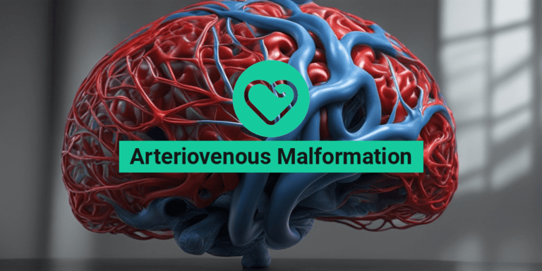 Arteriovenous Malformation: Causes, Symptoms, and Treatment Options • Yesil Health AI