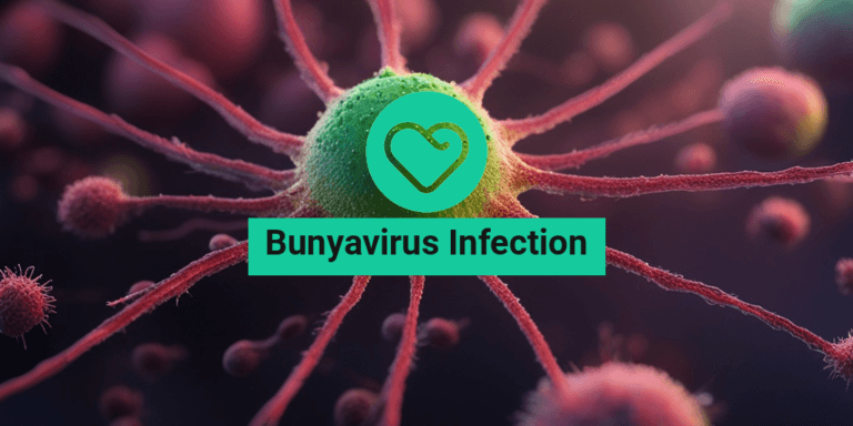 Bunyavirus Infection: Symptoms, Causes, Diagnosis, and Treatment ...