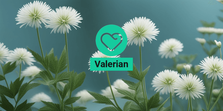 Valerian Root: Benefits, Uses, and Side Effects • Yesil Health