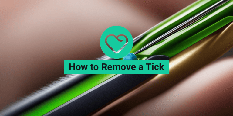 How to Remove a Tick Safely and Effectively: A Step-by-Step Guide ...