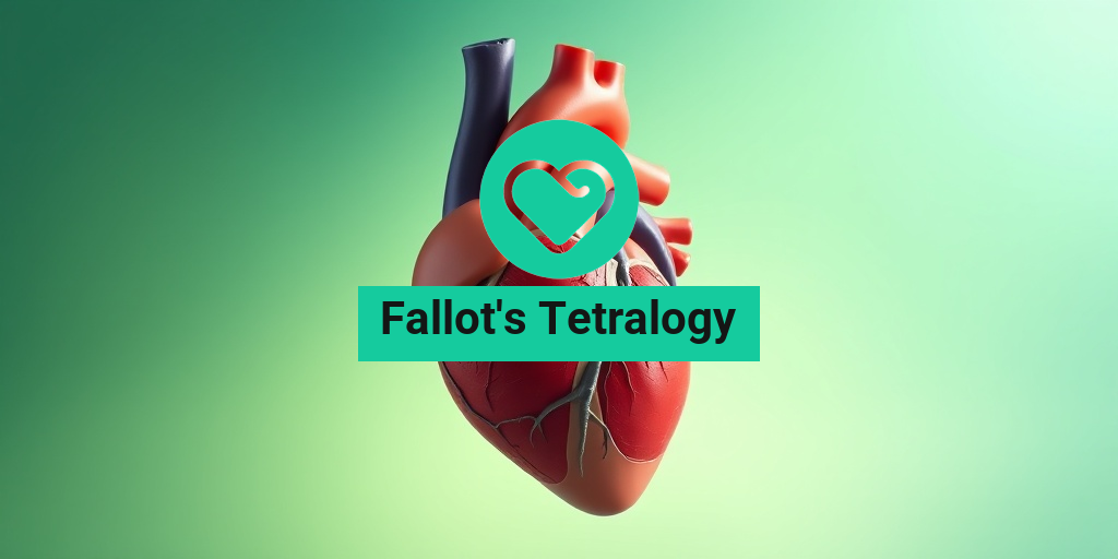 Fallot’s Tetralogy: Understanding the Condition and Its Management • Yesil Health