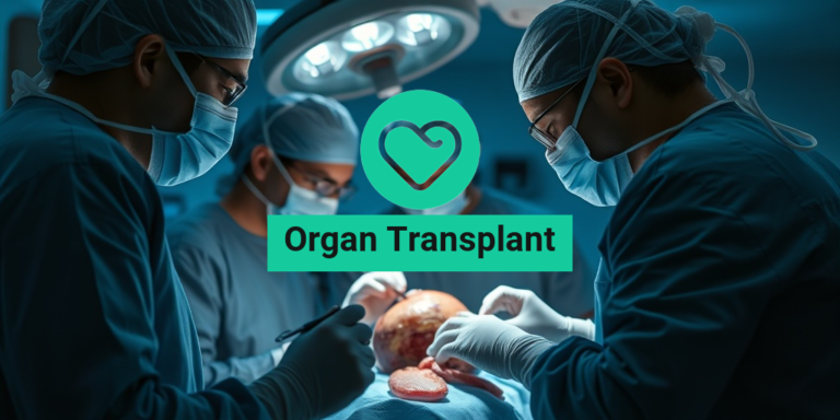 Organ Transplant: Understanding the Process and Its Importance • Yesil ...