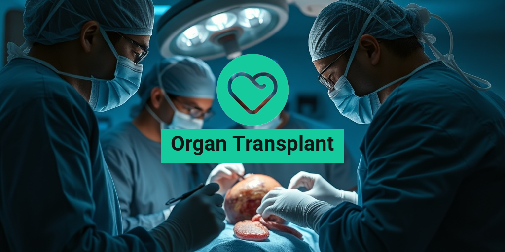 Organ Transplant: Understanding the Process and Its Importance • Yesil ...