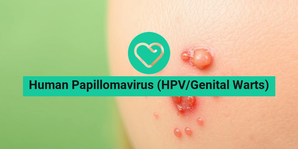 Human Papillomavirus (HPV/Genital Warts): Understanding, Symptoms, and Treatment • Yesil Health