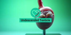 Undescended Testicle: Understanding Causes, Symptoms, and Treatments ...